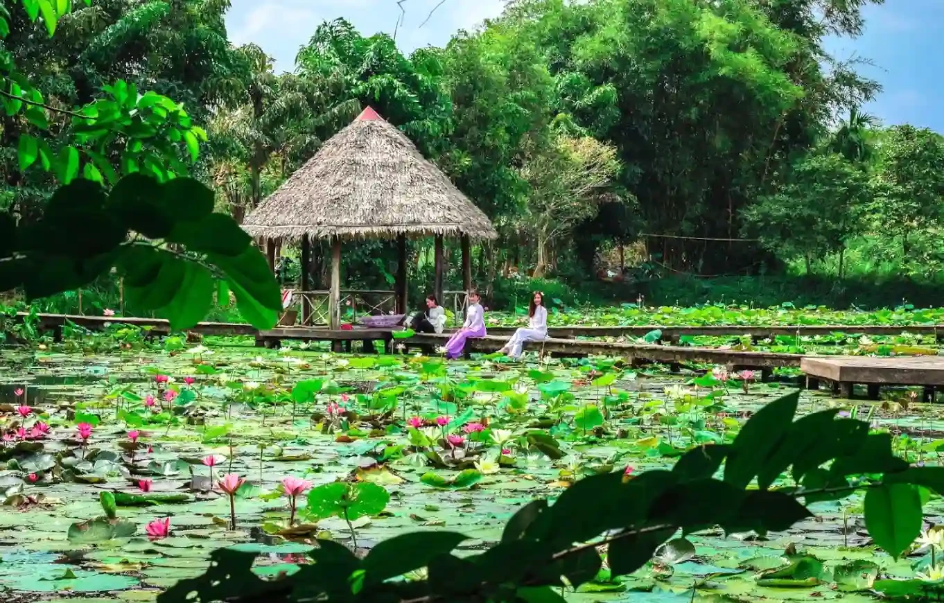Cẩm Nang Du Lịch Đồng Tháp: Khám Phá Vẻ Đẹp Xứ Sen Hồng